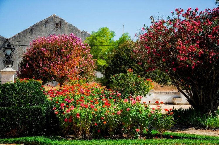 Palacio De Rio Frio Lisbon | Holidays to Portugal | Inspired Luxury Escapes